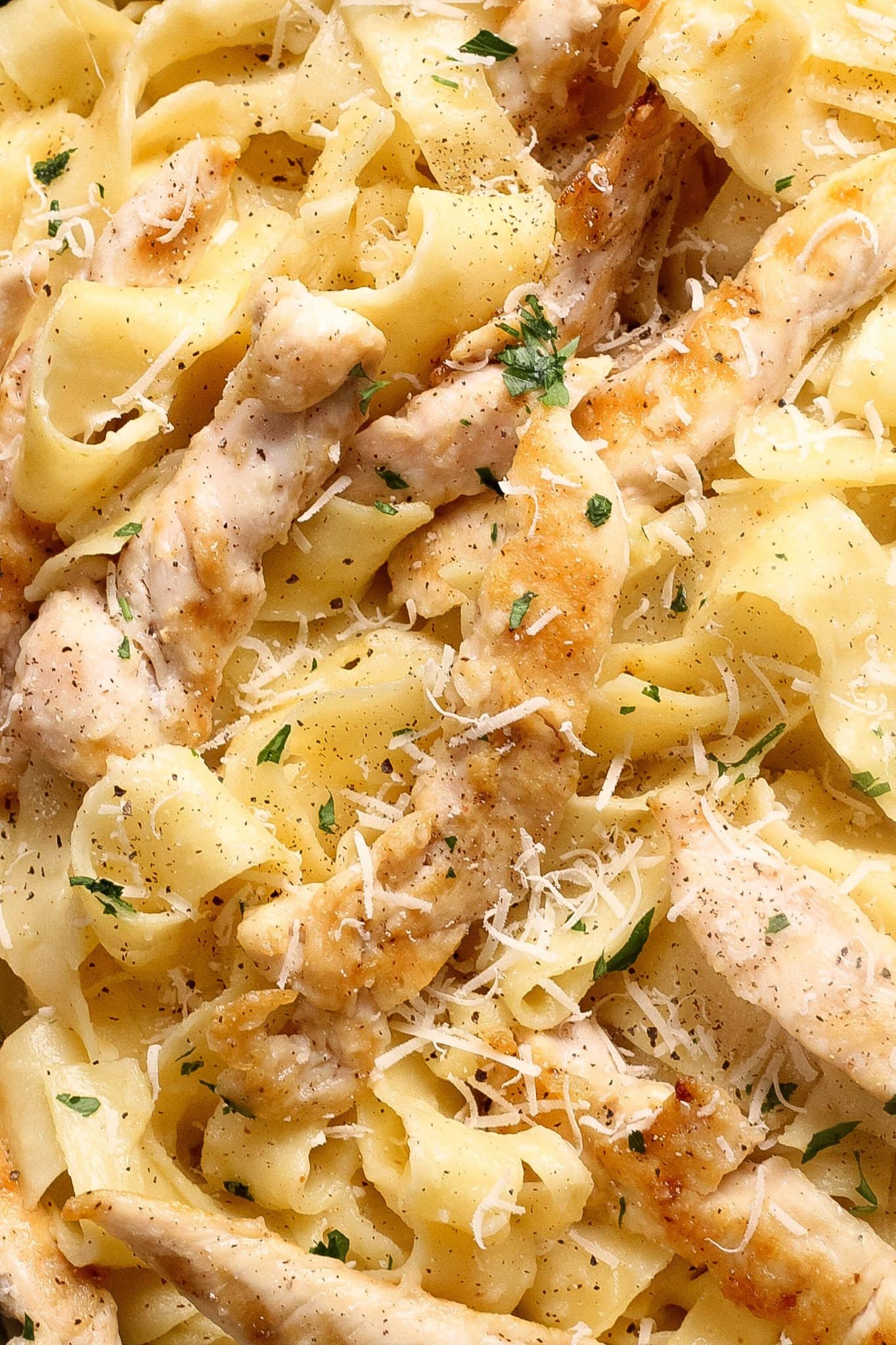 Creamy Chicken Alfredo Pappardelle - Kathryn's Kitchen