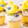 Adorable Peeps Easter Pudding Cups- Kathryn's Kitchen Blog